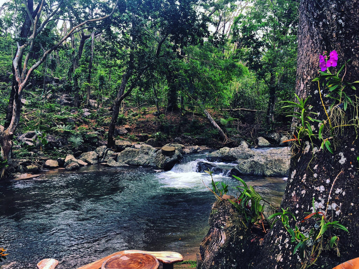 Zipline & Waterfall Tour Fiji | Zipline Adventure - Aqua Tours Fiji